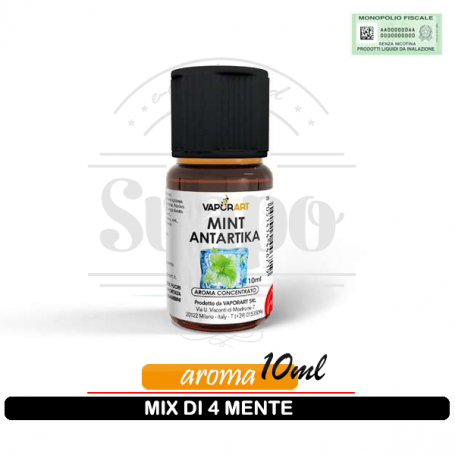 Mint Antartika Aroma Concentrato 10ml Vaporart